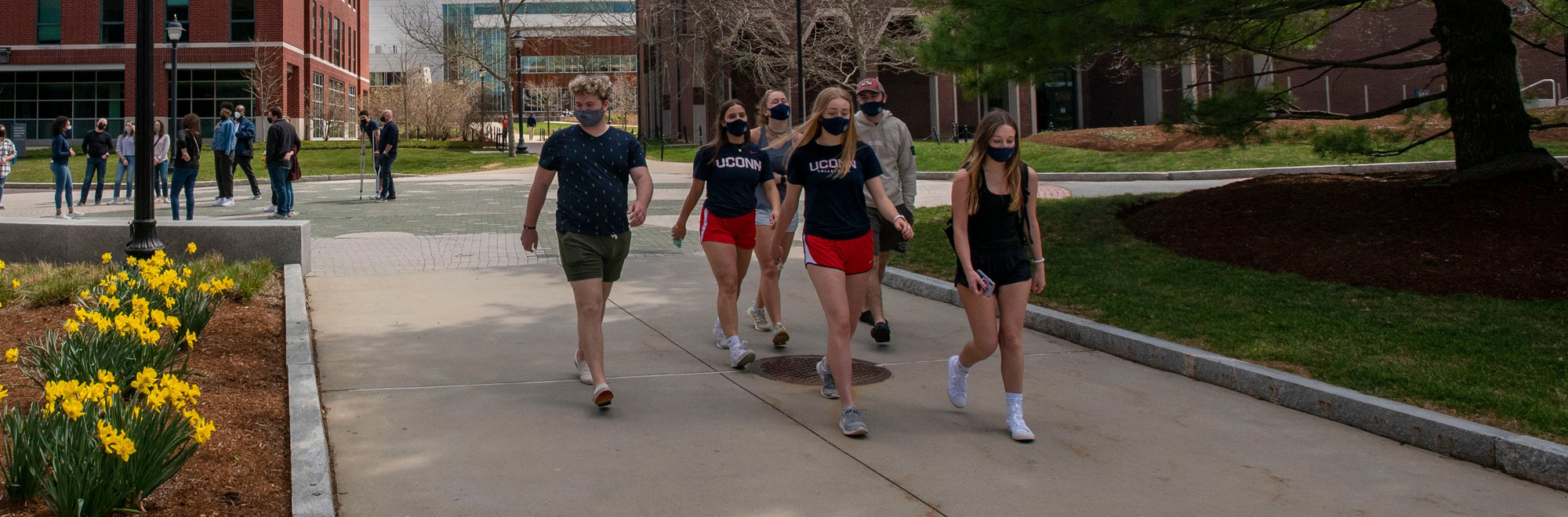 Home | College of Agriculture, Health and Natural Resources